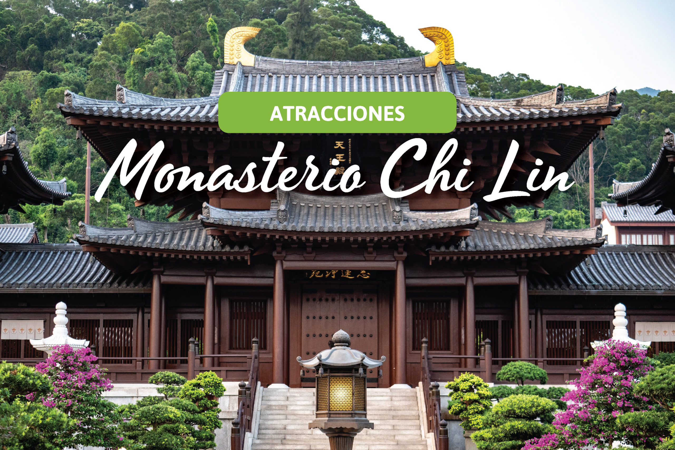 Monasterio Budista Chi Lin | Vive Hong Kong